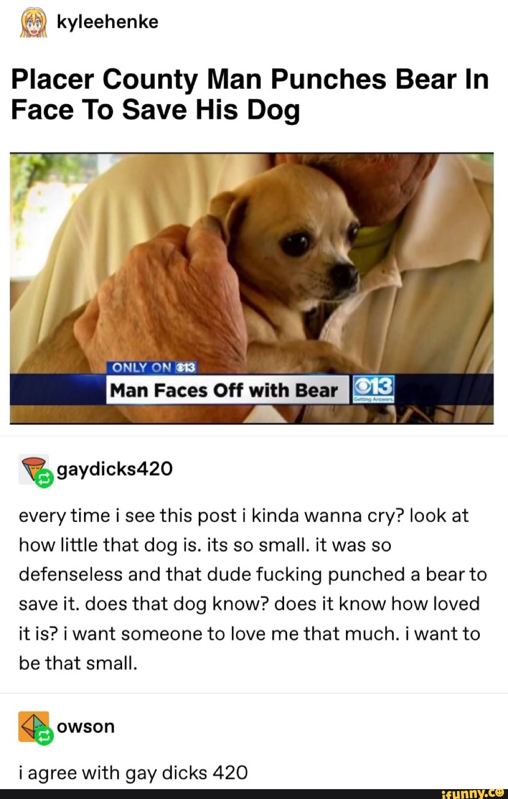 Placer County Man Punches Bear In Face To Save His Dog every time i see ...