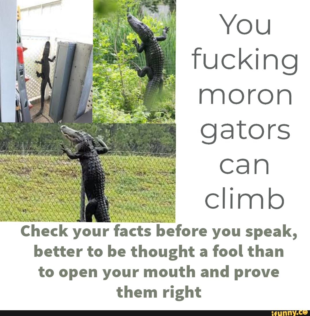 You fucking moron gators can climb Check your facts before you speak ...
