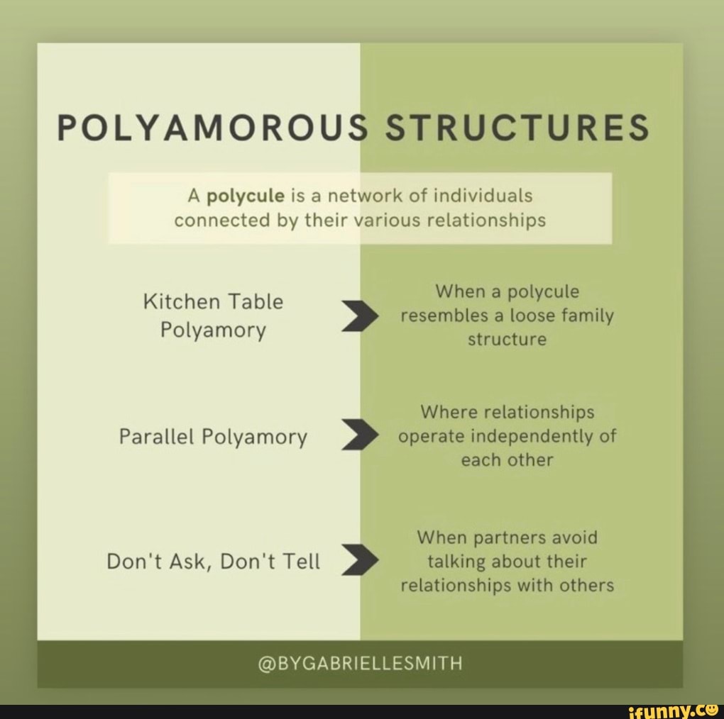 POLYAMOROUS STRUCTURES A polyeule is a network of individuals connected ...