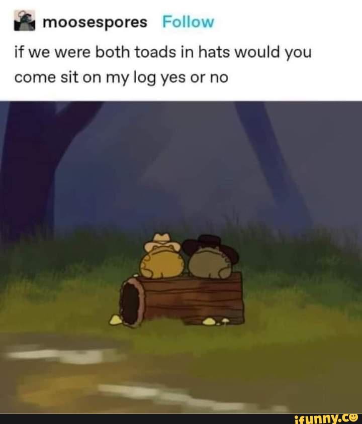 It is a Wednesday Meme Dump. - if we were both toads in hats would you ...