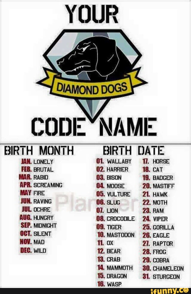 Wallaby memes. Best Collection of funny Wallaby pictures on iFunny