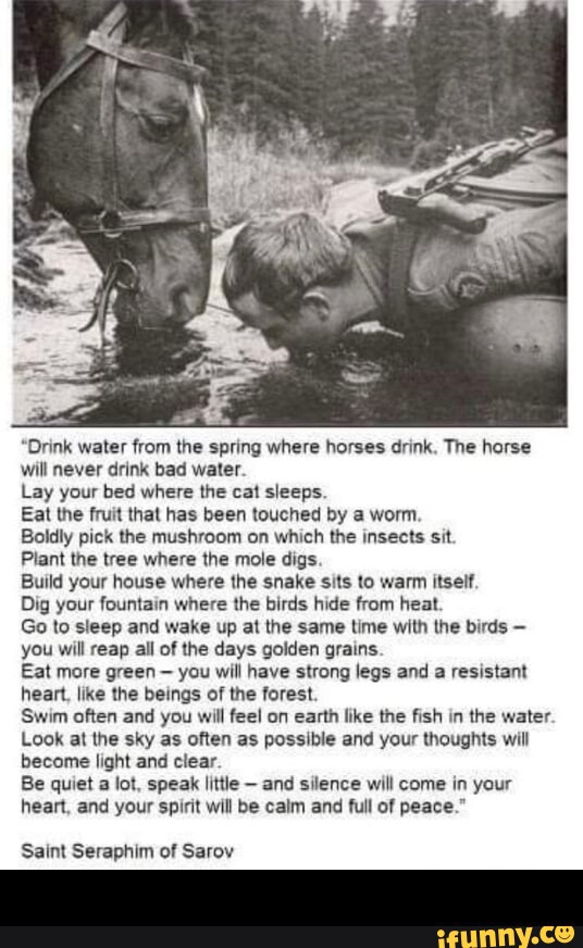 Run Wojak in among us - iFunny