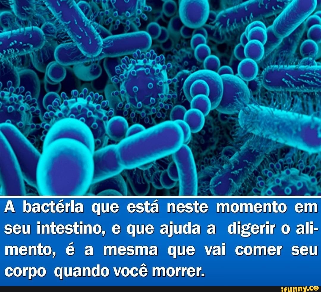 A bactéria que está neste momento em seu intestino, e que ajuda a ...