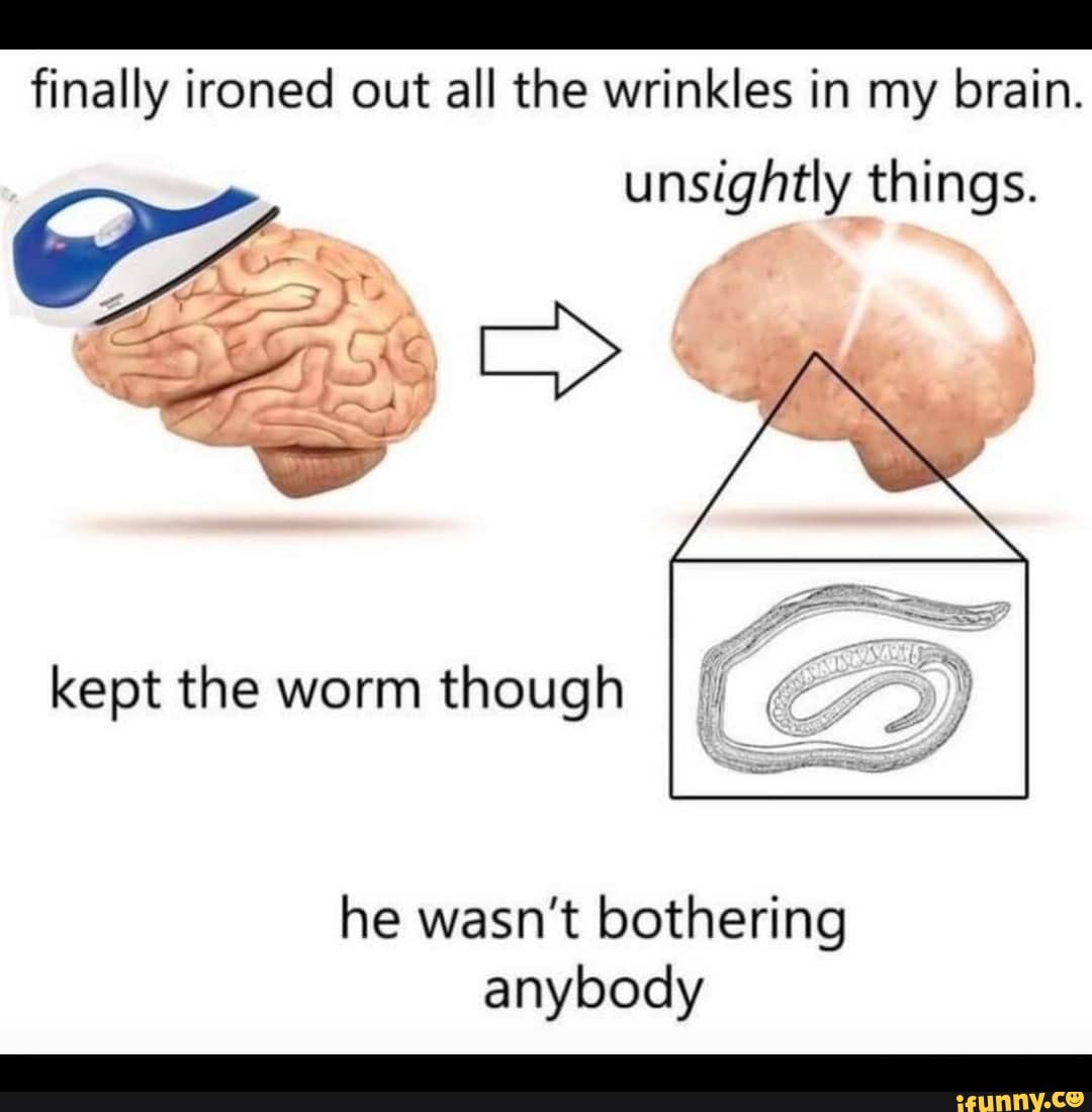 Finally ironed out all the wrinkles in my brain. unsightly things. he ...