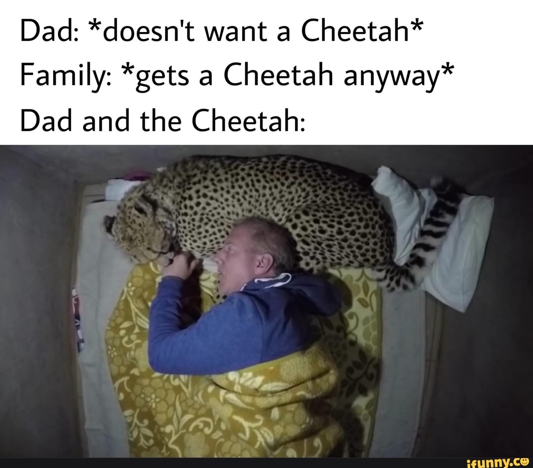 Dad: *doesn't want a Cheetah* Family: *gets a Cheetah anyway* Dad and ...