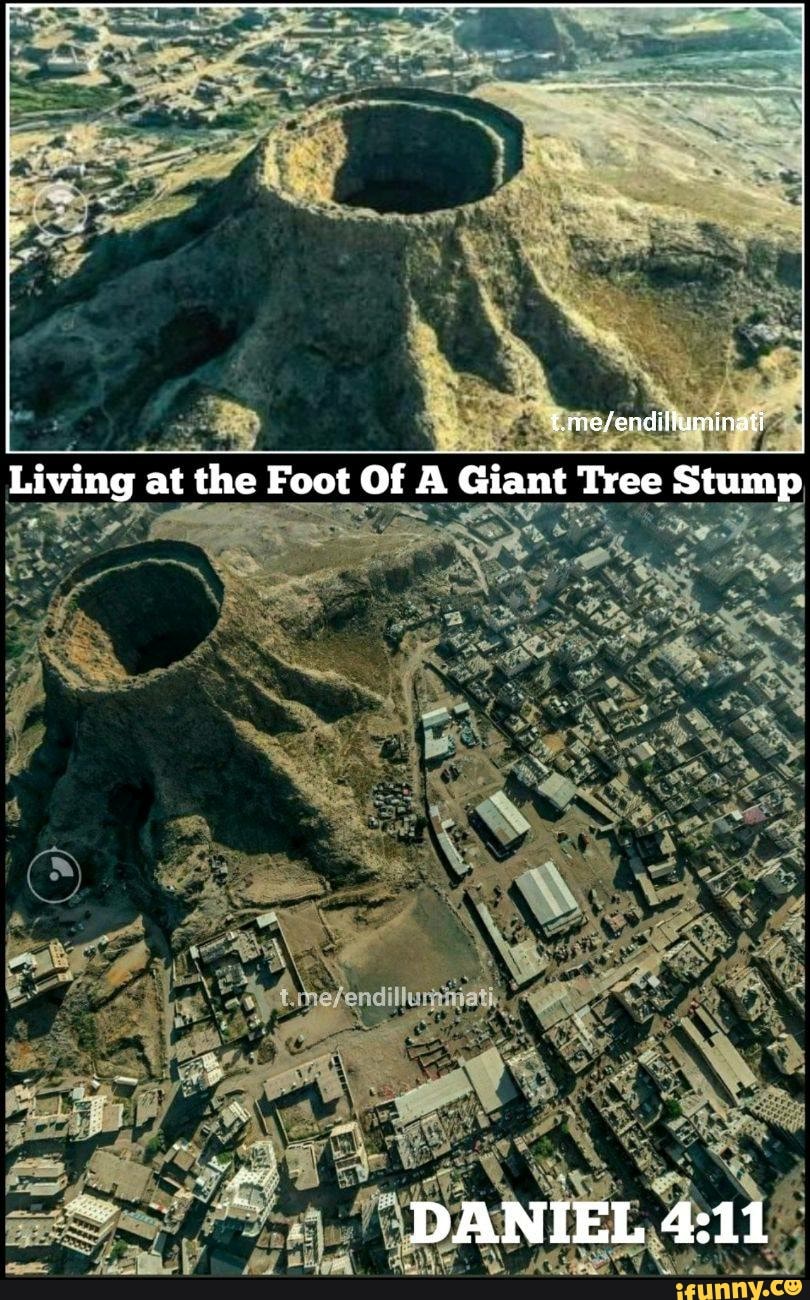 Living at the Foot Of A Giant Tree Stump DANIEL - iFunny