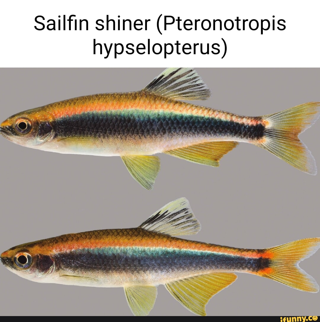 Oceanography memes. Best Collection of funny Oceanography pictures on ...