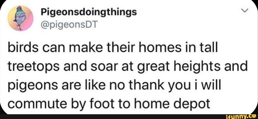 Soar memes. Best Collection of funny Soar pictures on iFunny