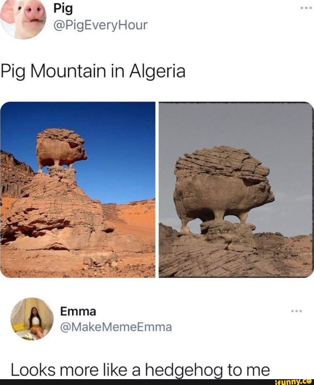Pig @PigEveryHour Pig Mountain in Algeria Emma I Looks more like a ...