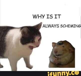 Scheming memes. Best Collection of funny Scheming pictures on iFunny