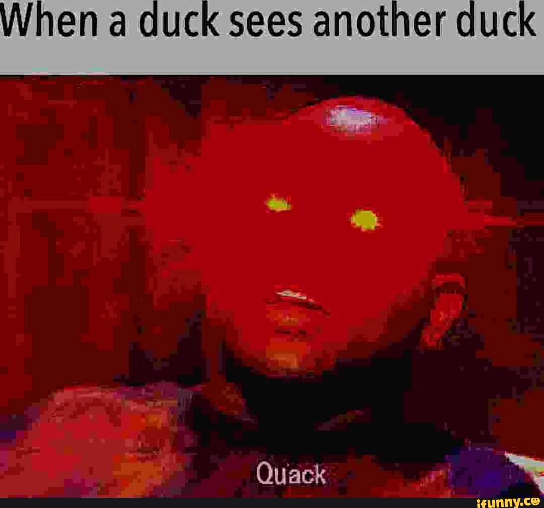 Quack memes. Best Collection of funny Quack pictures on iFunny