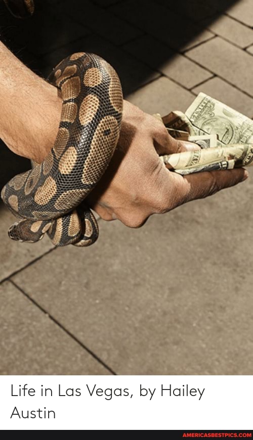 Life in Las Vegas, by Hailey Austin - Life in Las Vegas, by Hailey ...
