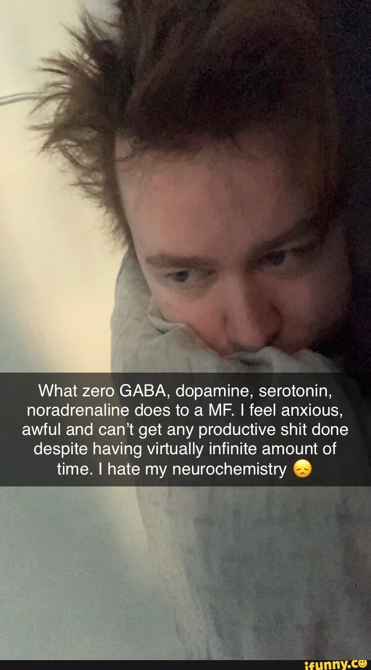 Gaba memes. Best Collection of funny Gaba pictures on iFunny