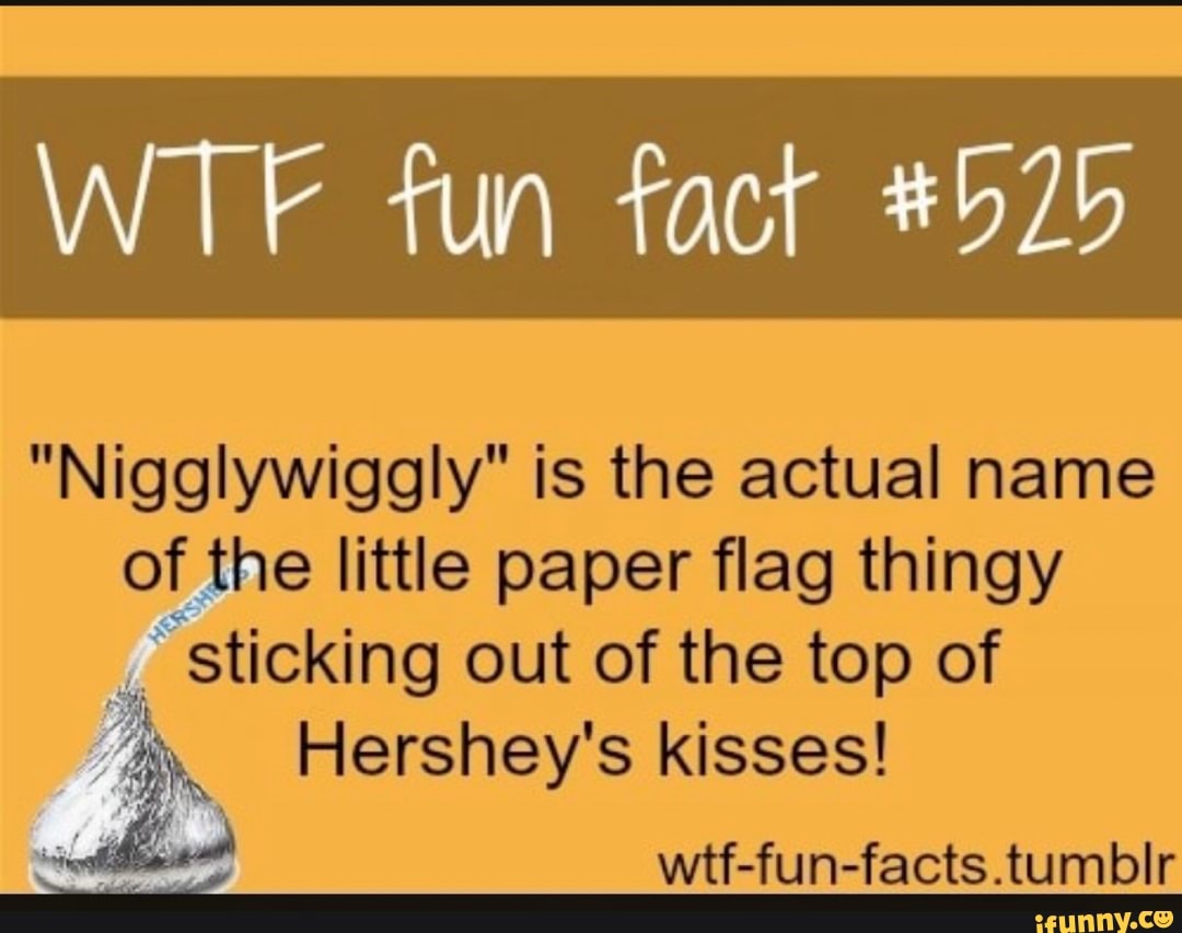 WTF fun fact #525 "Nigglywiggly" is the actual name of the little paper ...