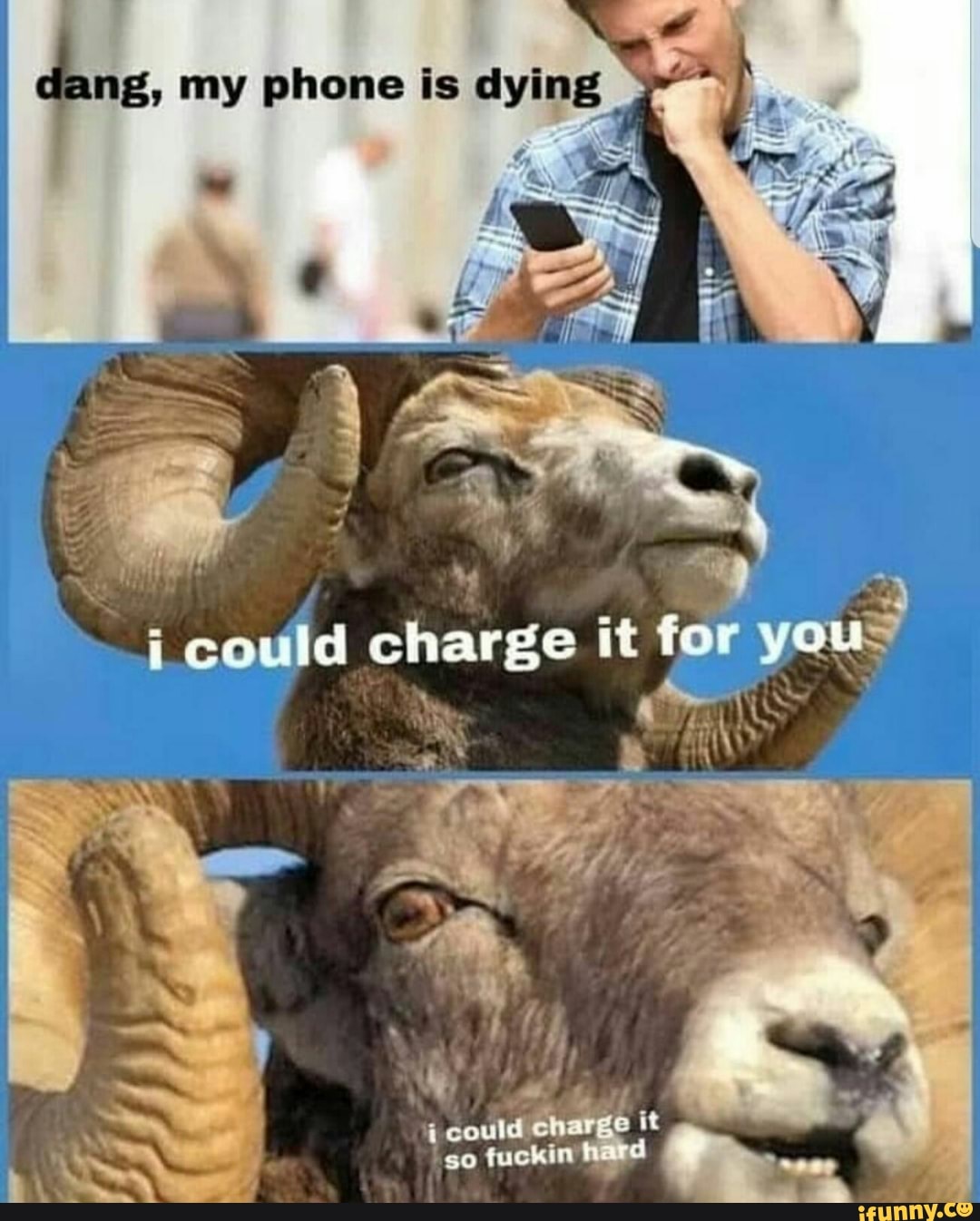 Tiddays memes. Best Collection of funny Tiddays pictures on iFunny