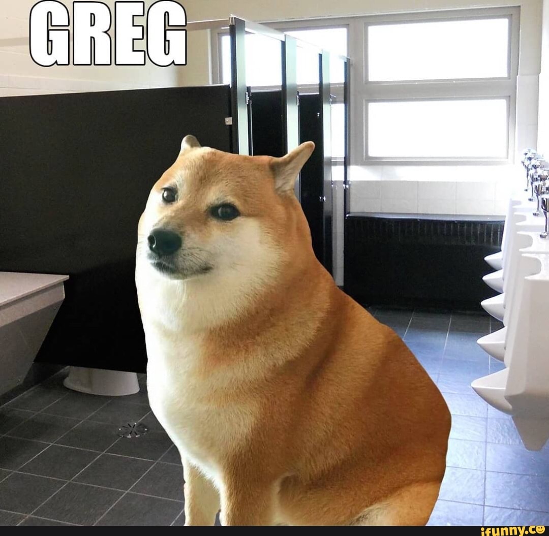 Cheemsburger memes. Best Collection of funny Cheemsburger pictures on ...