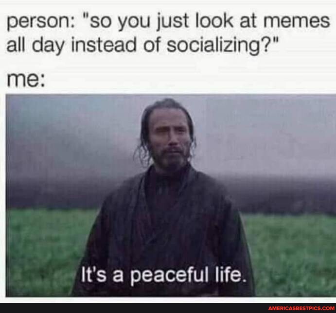 Person: "so you just look at memes all day instead of socializing?" me ...