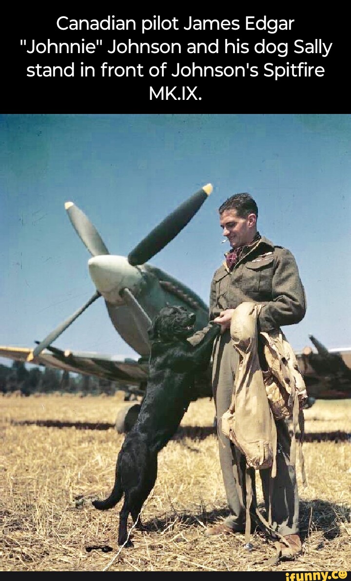 Canadian pilot James Edgar "Johnnie" Johnson and his dog Sally stand in ...