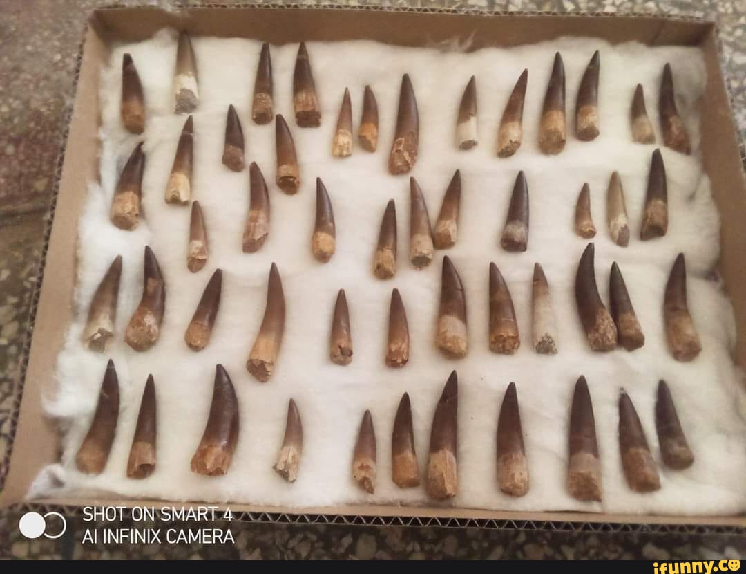 Infinix memes. Best Collection of funny Infinix pictures on iFunny