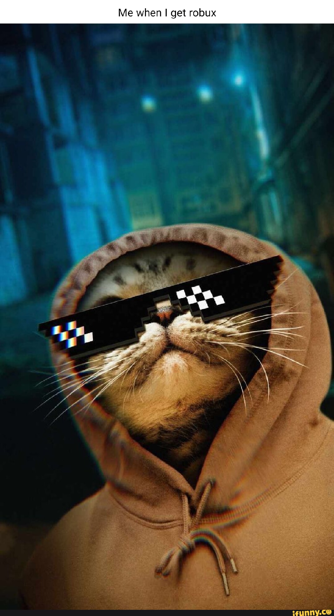 Robux memes. Best Collection of funny Robux pictures on iFunny