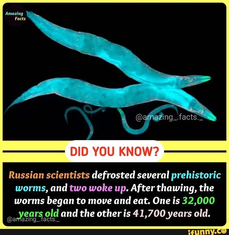 Fazing memes. Best Collection of funny Fazing pictures on iFunny