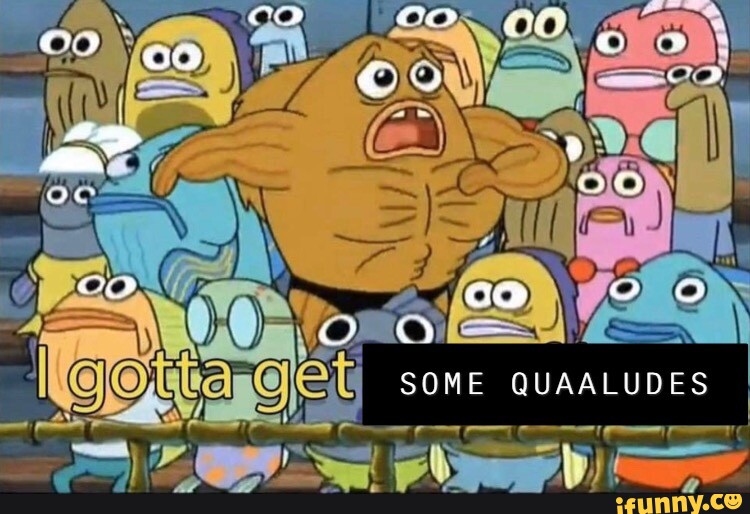 Quaaludes memes. Best Collection of funny Quaaludes pictures on iFunny