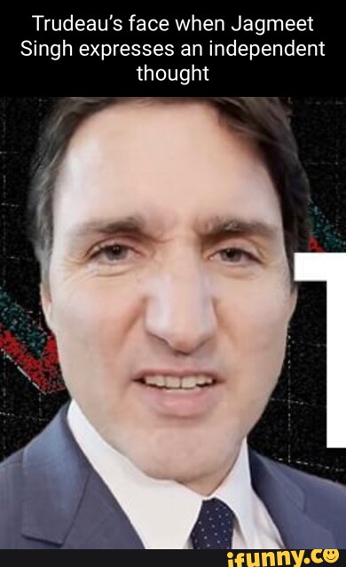 Trudeau's face when Jagmeet Singh expresses an independent thought - iFunny