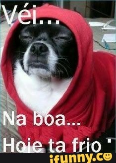 Haie ta frio - iFunny