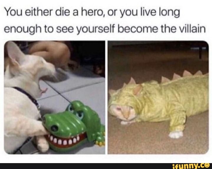 Meowser memes. Best Collection of funny Meowser pictures on iFunny