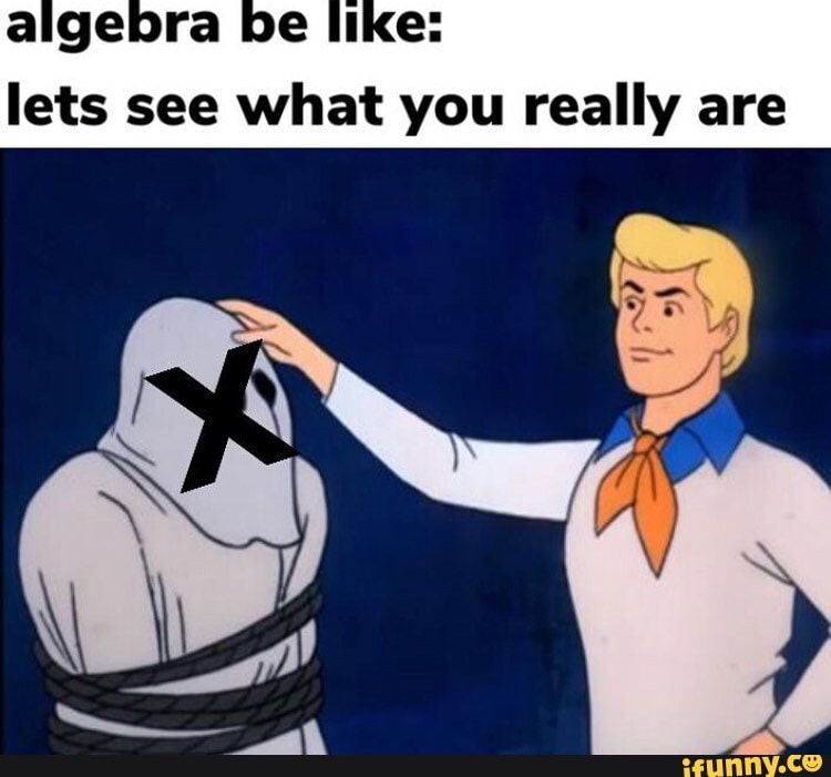 Algebra be like: lets see what you really are 4/ - iFunny