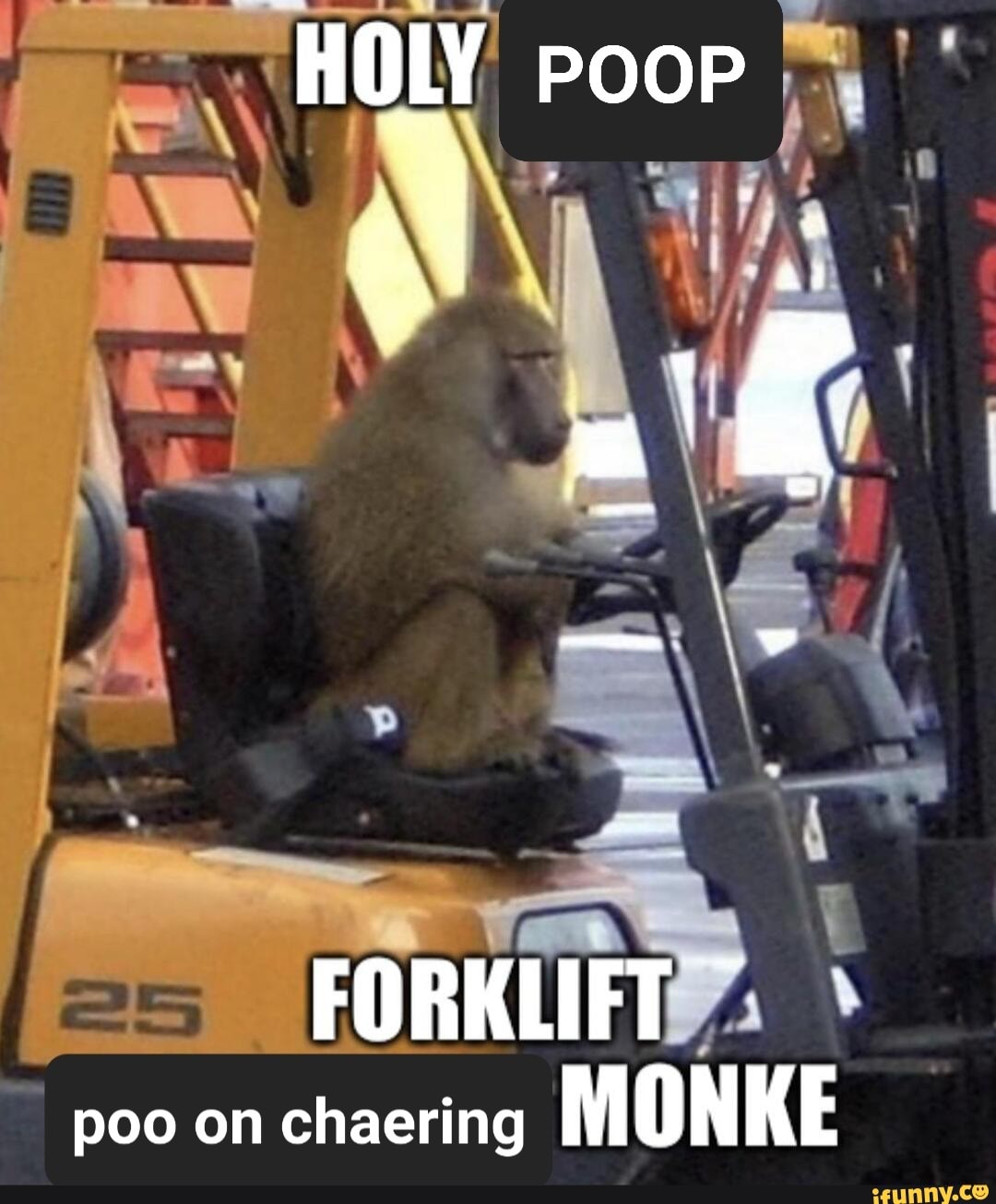 HOLY POOP FORKLIFT poo on chaering MONKE - iFunny