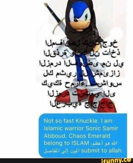Not so fast Knuckle. I am Islamic warrior Sonic Samir Abboud. Chaos ...