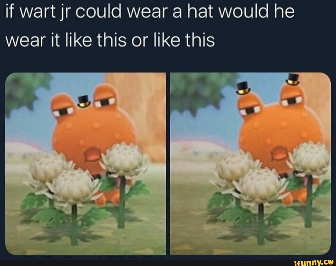 If wart jr could wear a hat would he wear it like this or like this ...