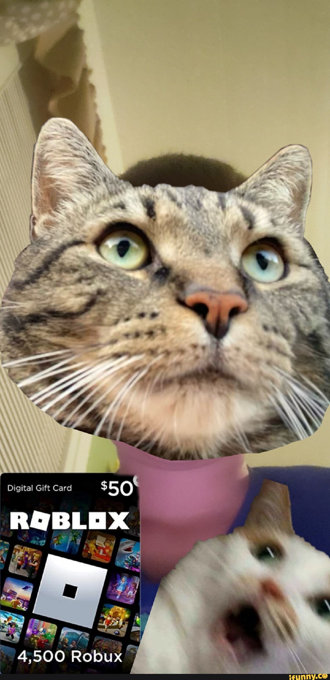 Robux memes. Best Collection of funny Robux pictures on iFunny