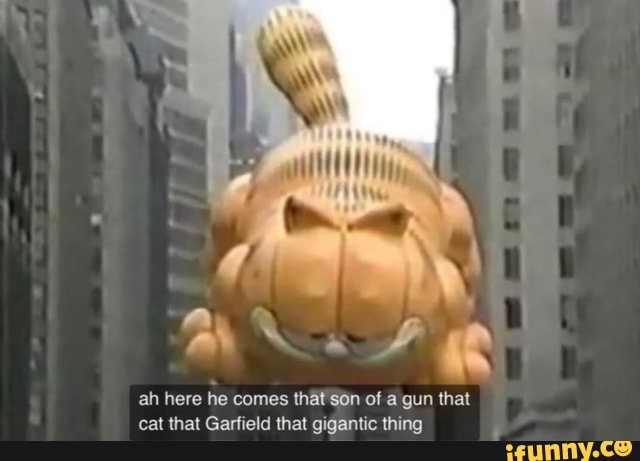 Ah here he comes that son of a gun that cat that Garfield that gigantic ...