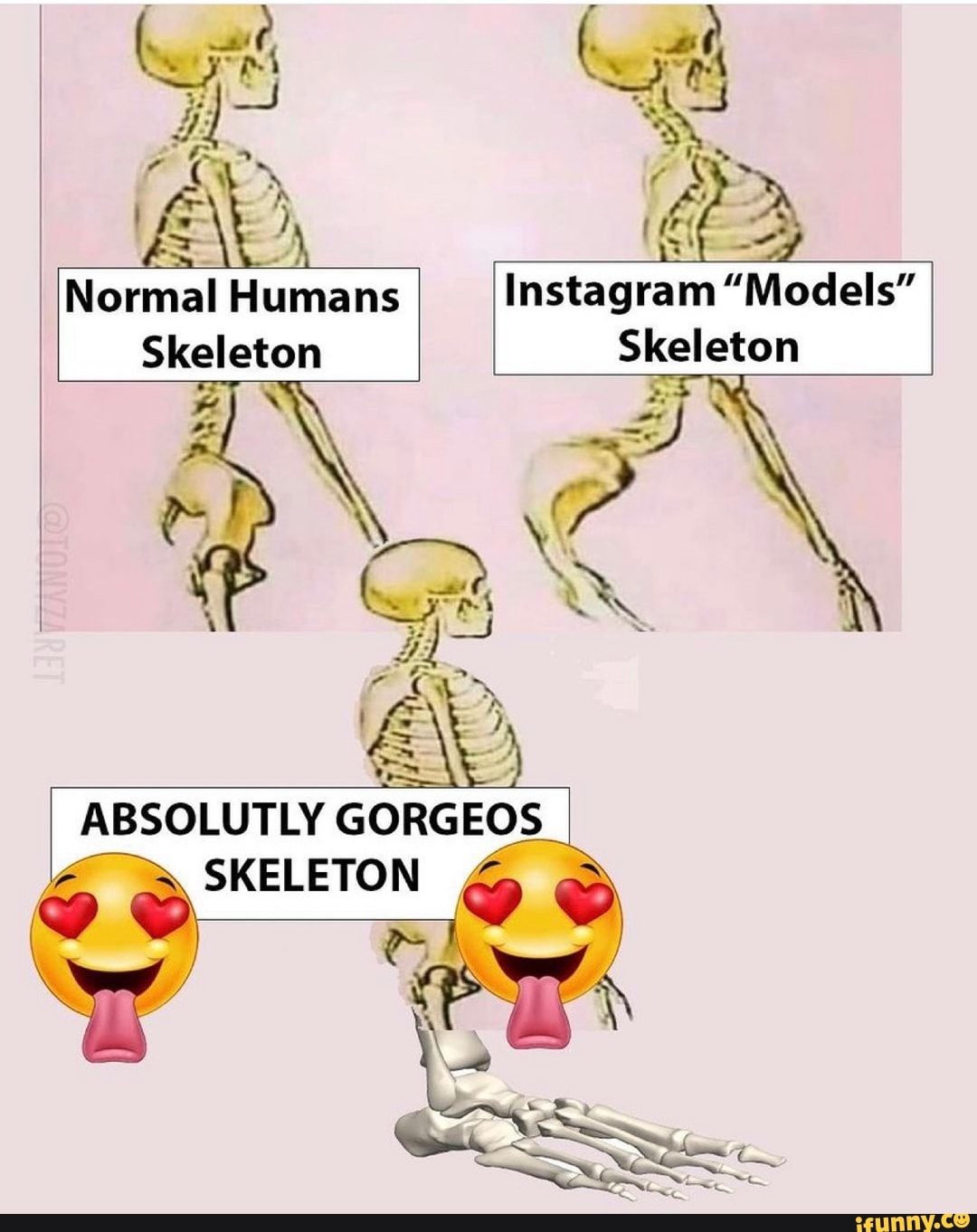 Normal Humans Skeleton ABSOLUTLY GORGEOS SKELETON Lad Instagram "Models ...