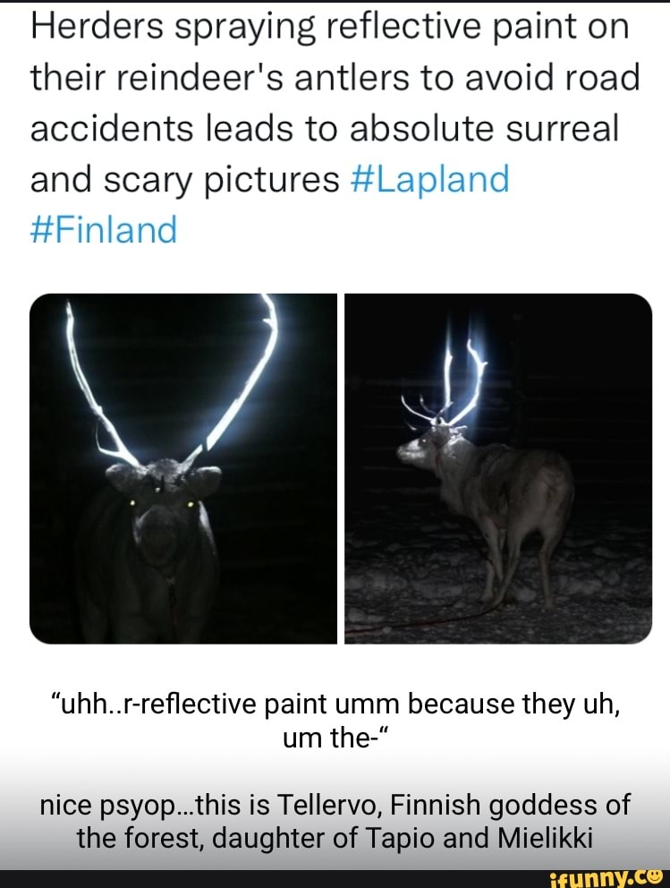 Reflective memes. Best Collection of funny Reflective pictures on iFunny