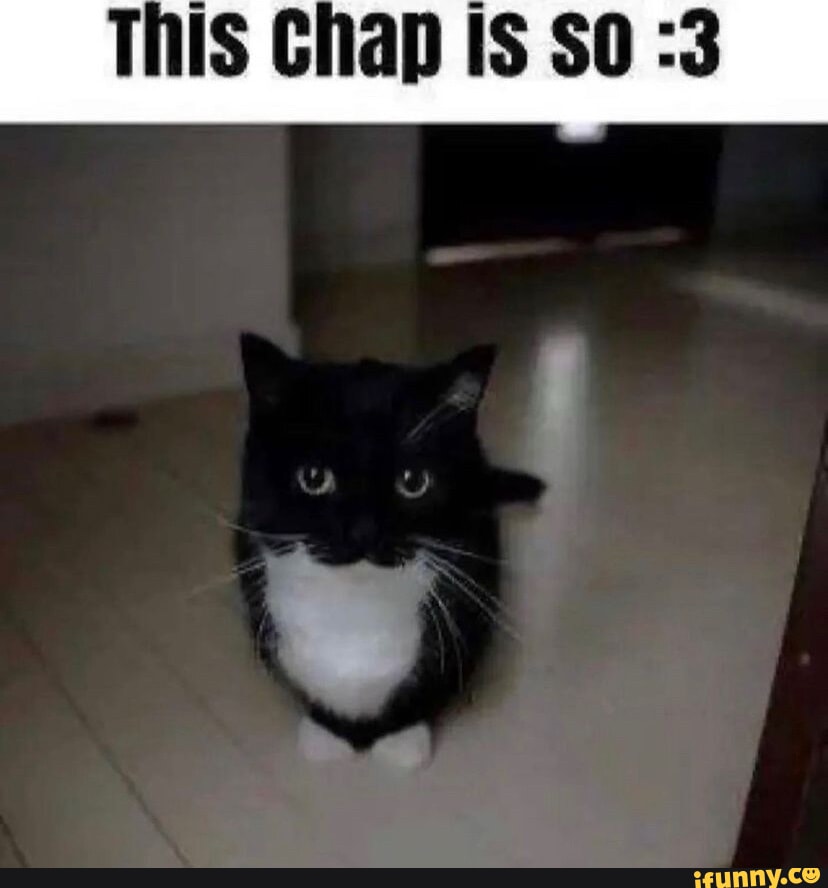 Chap memes. Best Collection of funny Chap pictures on iFunny