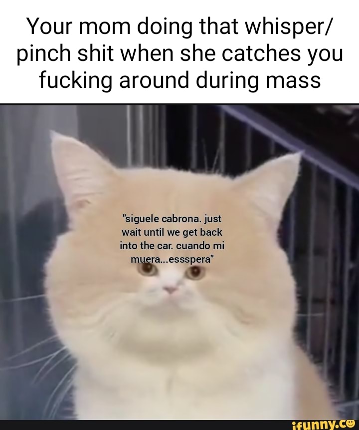 Cabrona memes. Best Collection of funny Cabrona pictures on iFunny