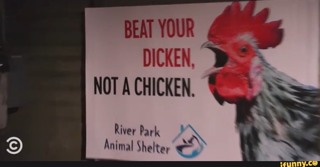 BEAT YOUR DICKEN, NOT A CHICKEN River Park Animal Shelter - iFunny
