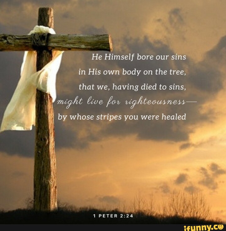 He Himself bore our sins in His own body on the tree. that we, having ...
