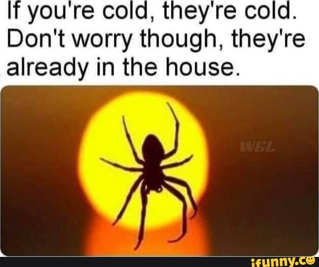 If youre cold, they're cold. Don't worry though, they're already in the ...