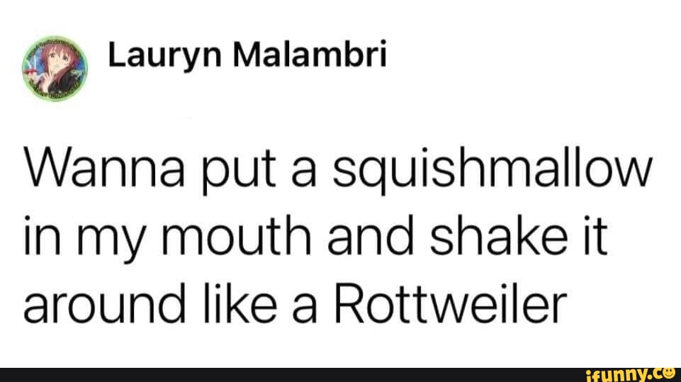 Squishmallow memes. Best Collection of funny Squishmallow pictures on ...