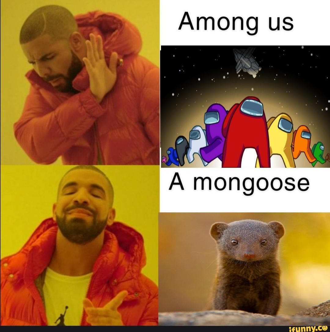 Among us A mongoose - )