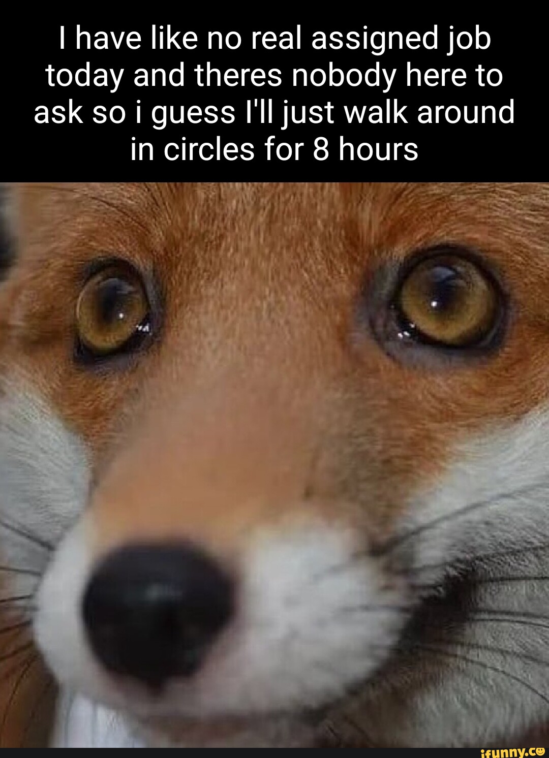 Walk memes. Best Collection of funny Walk pictures on iFunny