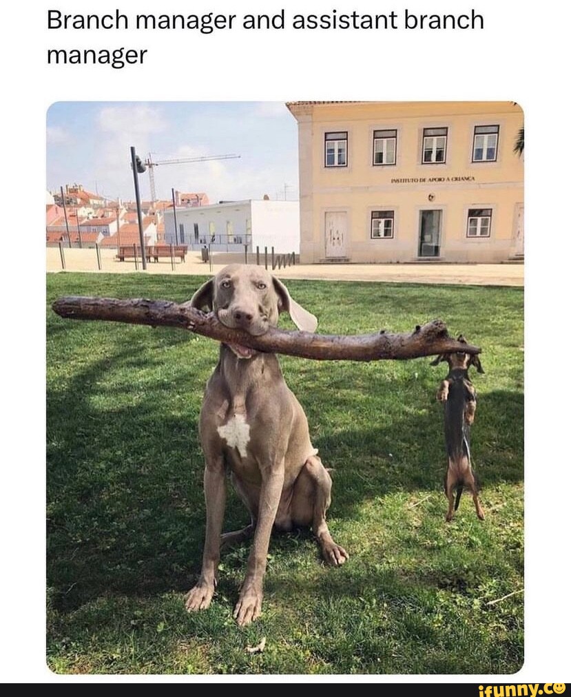 Assistant memes. Best Collection of funny Assistant pictures on iFunny