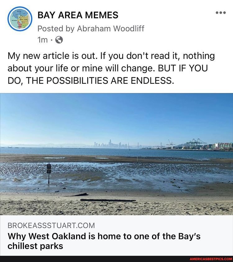 BAY AREA MEMES Posted by Abraham Woodliff My new article is out. If you don't read it, nothing ...