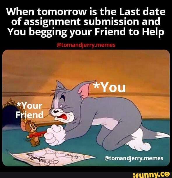 Last Assignment Memes