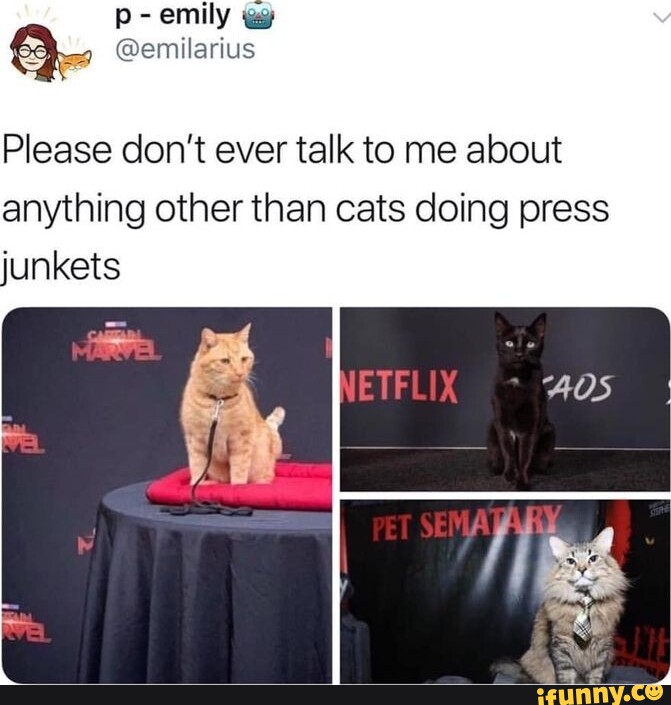 Emily Please don't ever talk to me about anything other than cats doing ...