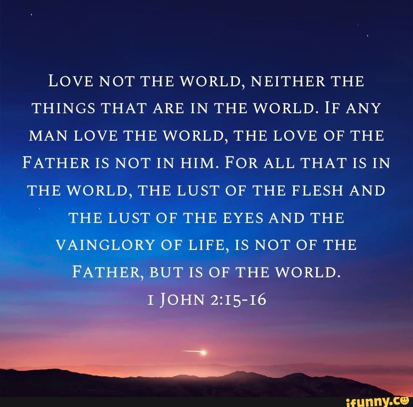 LOVE NOT THE WORLD, NEITHER THE THINGS THAT ARE IN THE WORLD. IF ANY ...